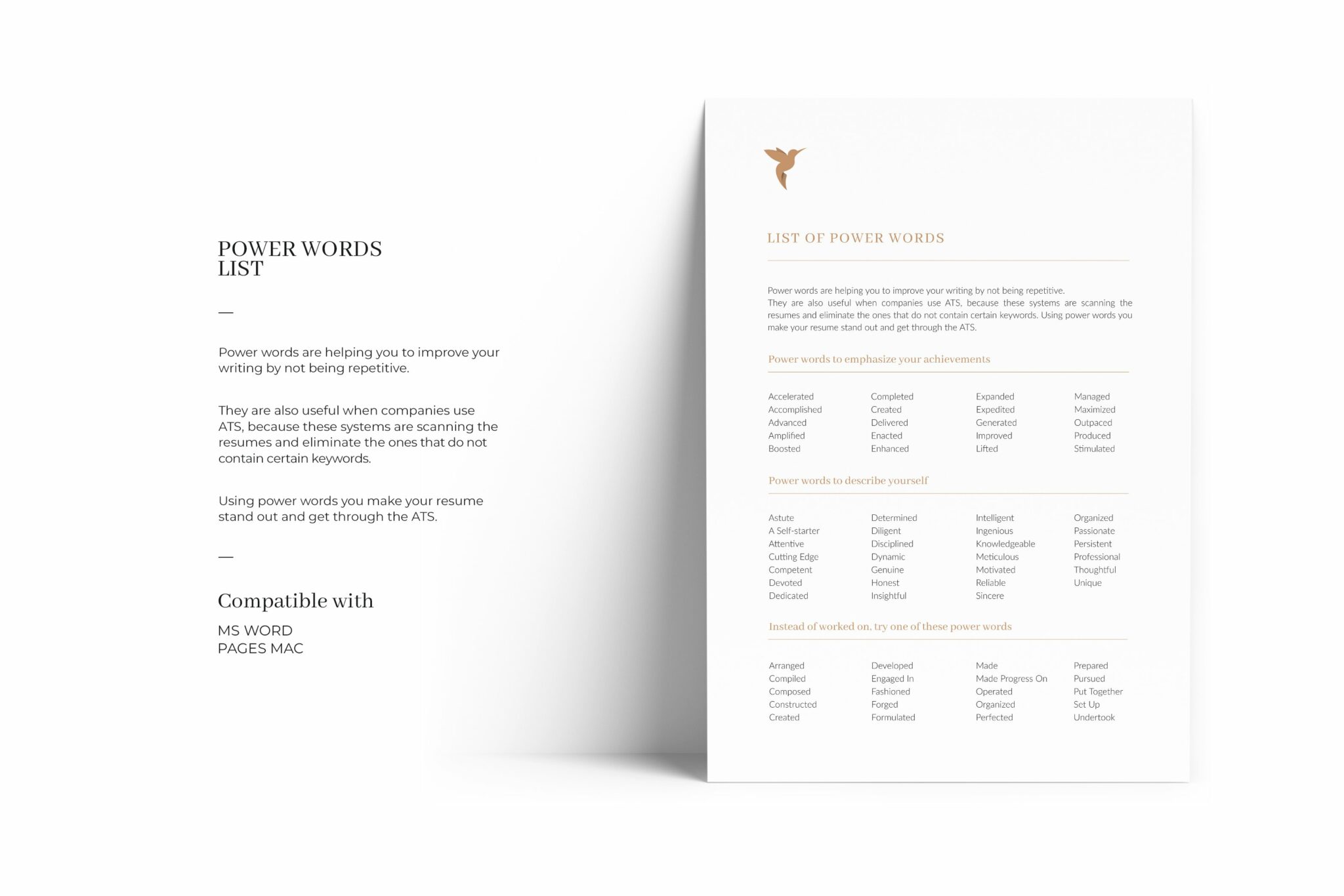 Customizable 5 Page Resume Template – MasterBundles