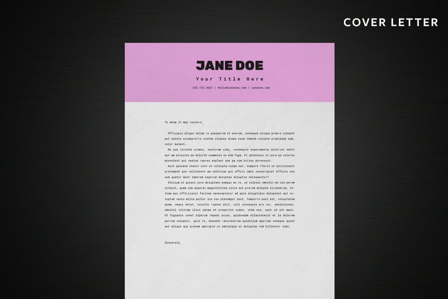 Modern SMM Resume Template – MasterBundles