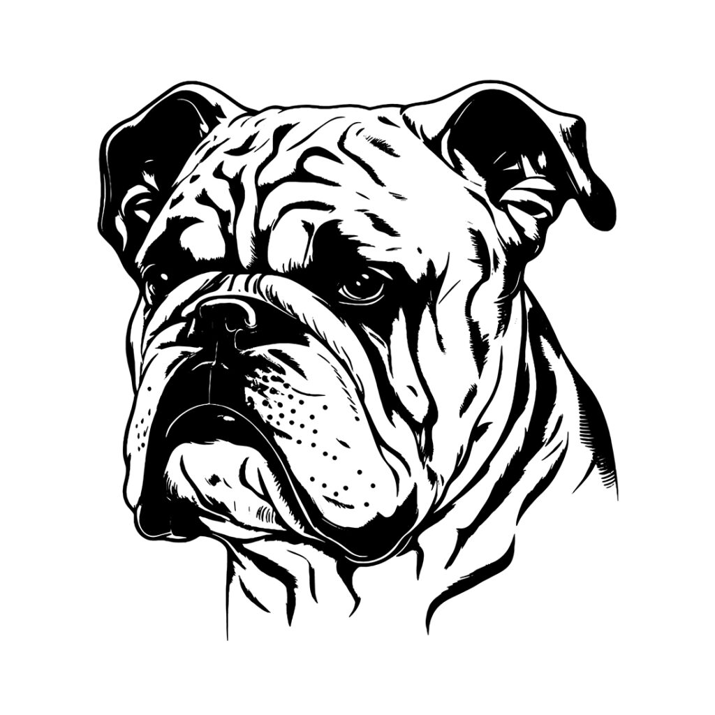 A Bulldog logo Illustration - MasterBundles