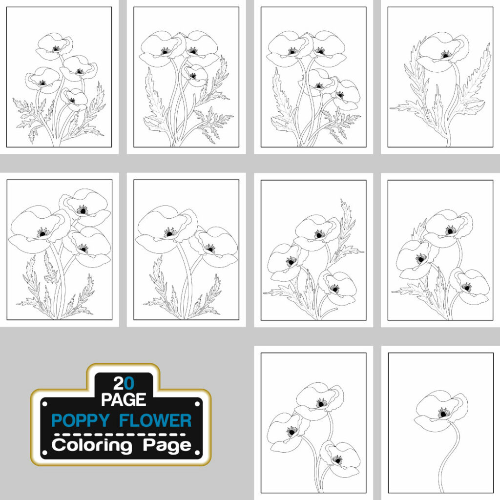 Poppy Flower Coloring Page And Book Hand Drawn Line Art illustration ...