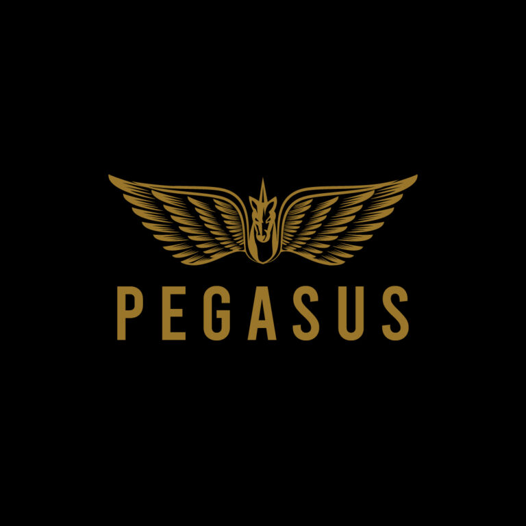 Pegasus Logos - MasterBundles
