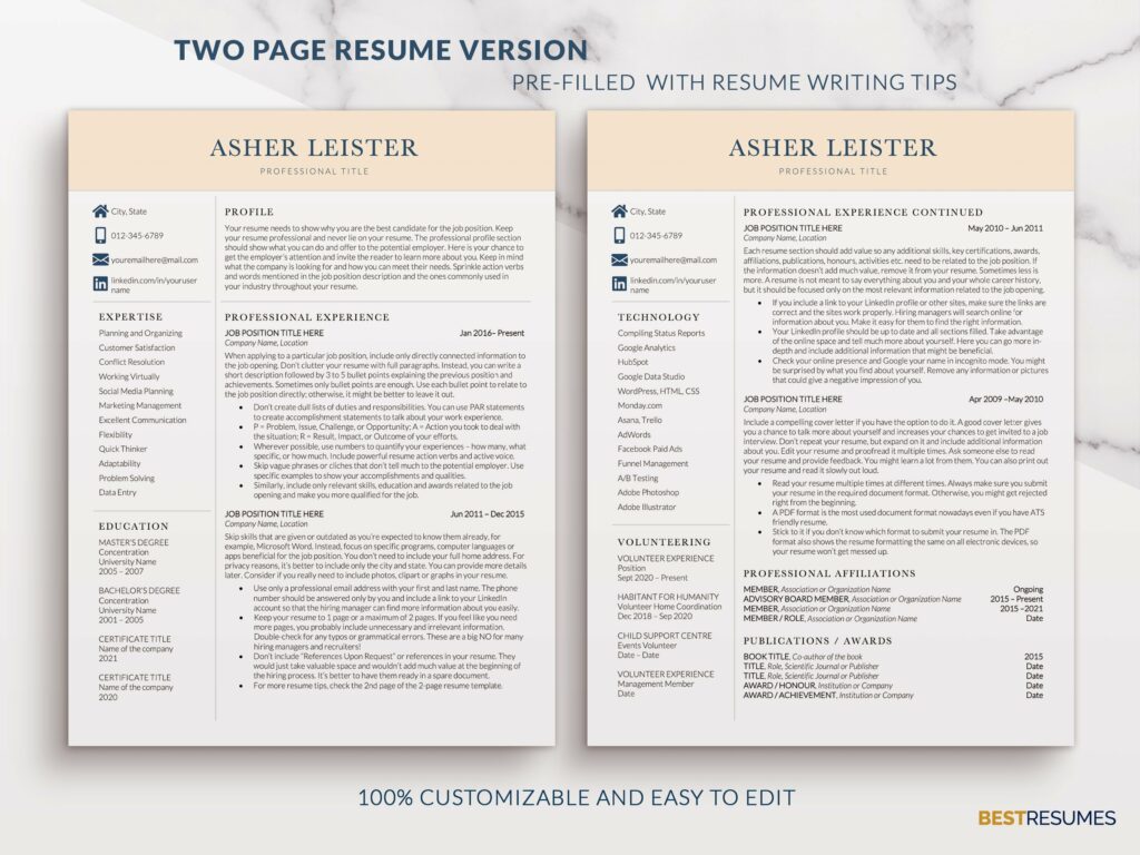 Professional Resume Template Word – MasterBundles