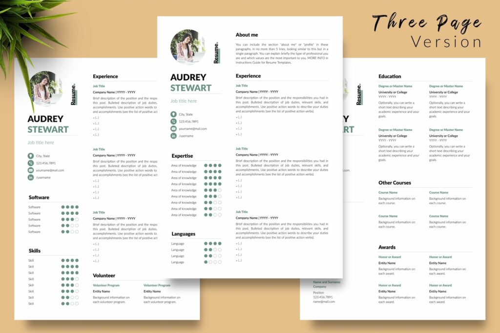 Modern CV Bundle / Resume - Audrey – MasterBundles