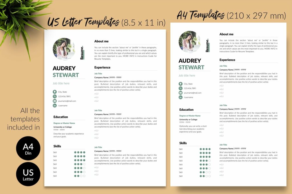 Modern Dance CV Bundle / Resume - Audrey – MasterBundles