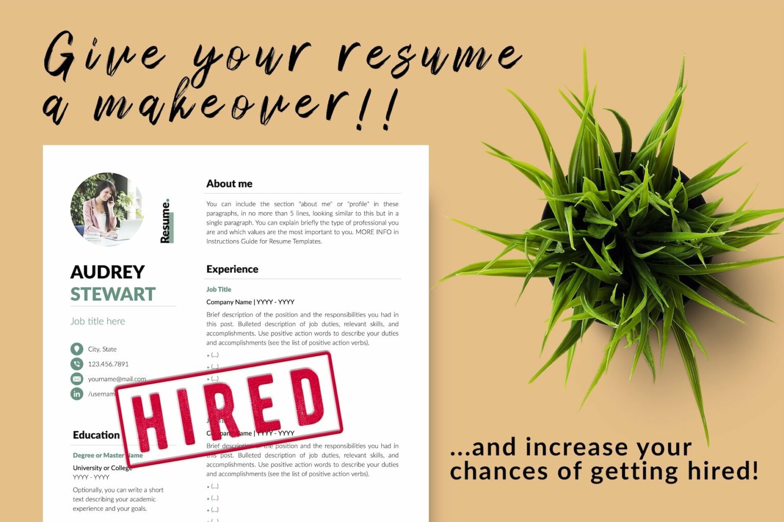 Modern Dance CV Bundle / Resume - Audrey – MasterBundles