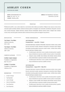 Professional Resume Template CV – MasterBundles