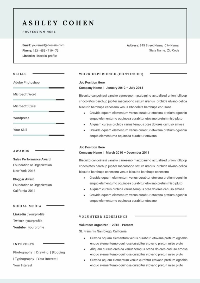 Professional Resume Template CV – MasterBundles