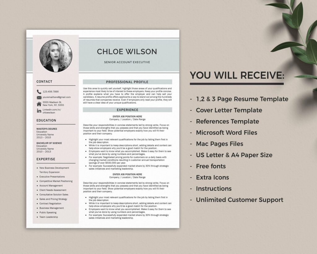 Modern Resume Template Word – MasterBundles