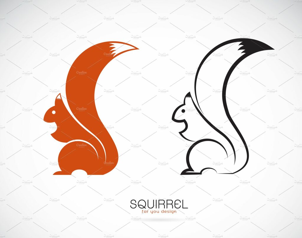 Vector of squirrel design. Animal. – MasterBundles