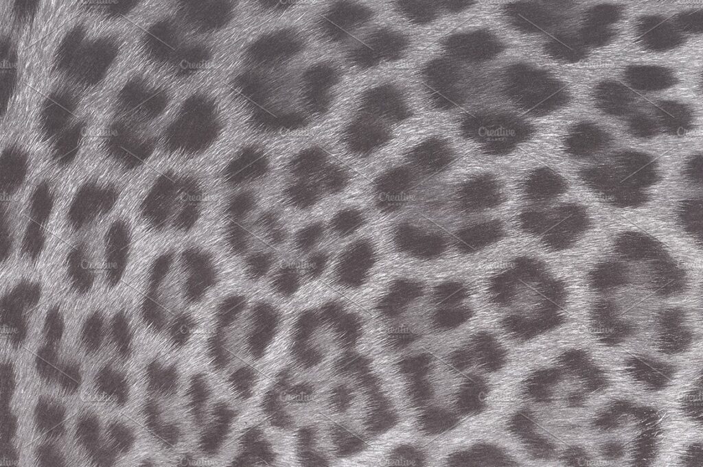 Fur Textures – MasterBundles