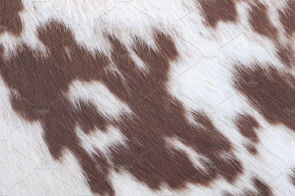 Fur Textures – MasterBundles