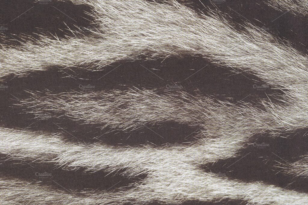 Fur Textures – MasterBundles