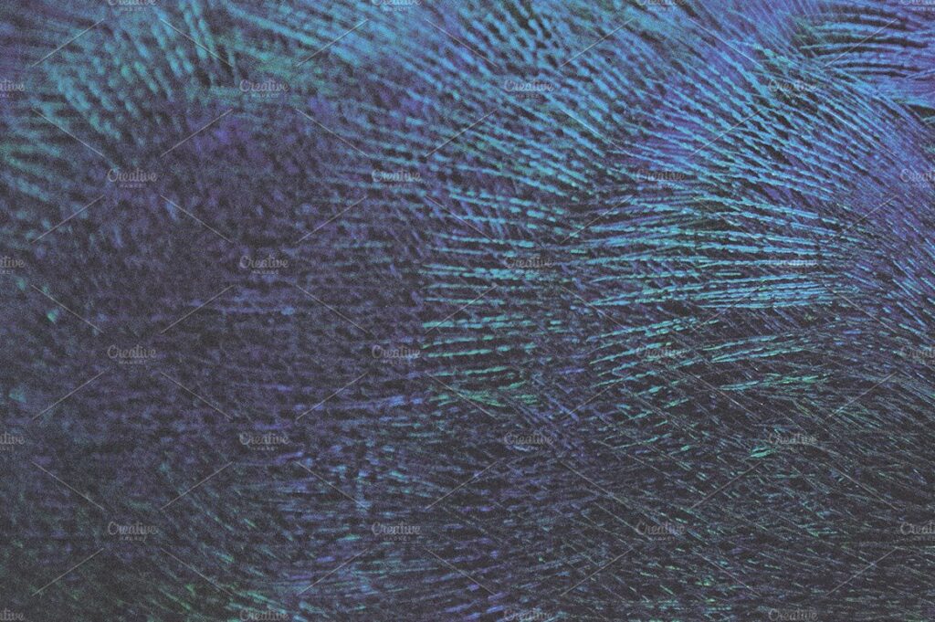 Feather Textures – MasterBundles