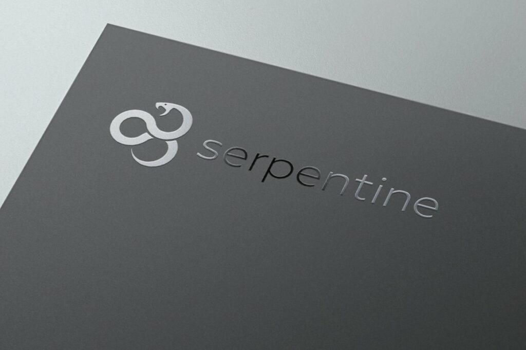 Serpentine Logo – MasterBundles