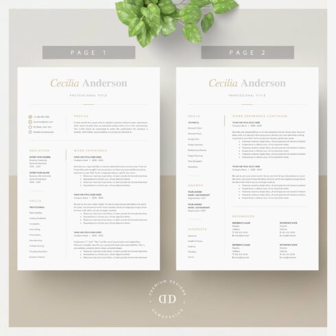Modern 2 Page Resume Template – MasterBundles