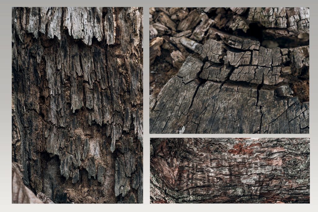 50 Old wood textures – MasterBundles