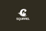 Squirrel logo – MasterBundles