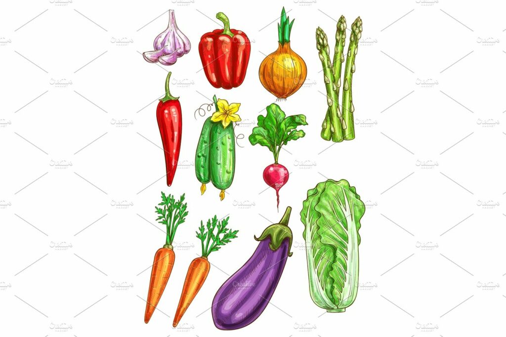 Vegetables vector sketch isolated icons – MasterBundles
