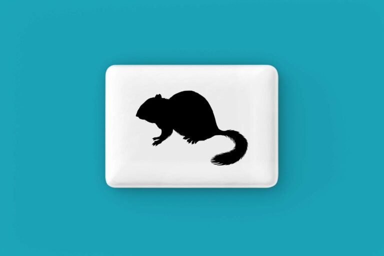 Squirrel Silhouette – MasterBundles