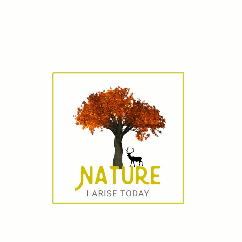 Perfect Design Nature Signature Logo By USM - MasterBundles