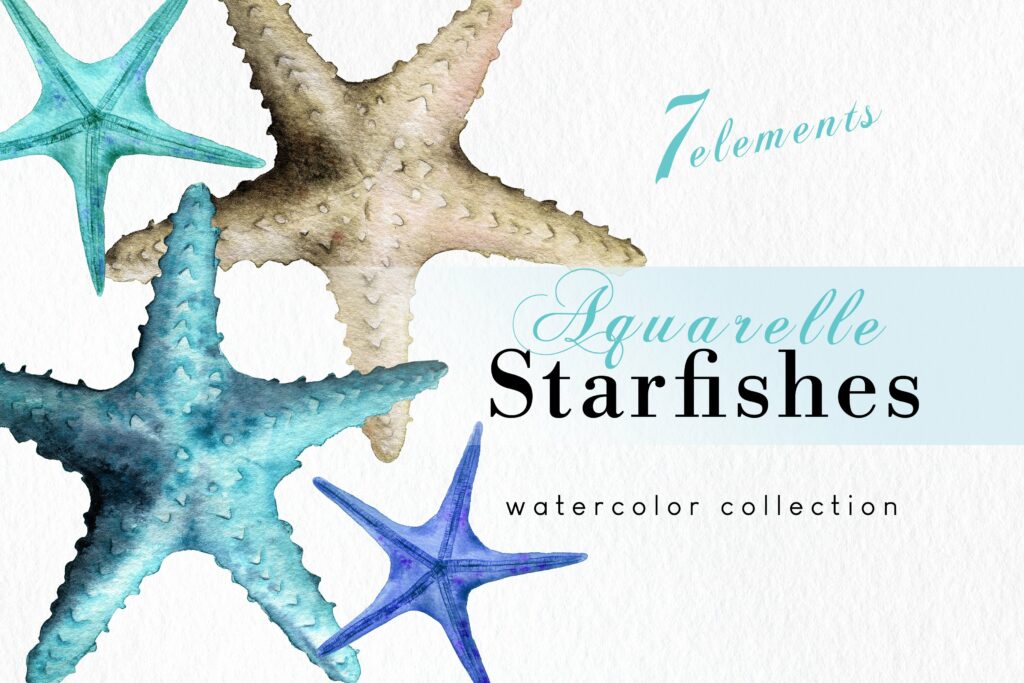 Beach Starfish Clipart Set – MasterBundles