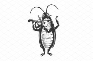 Cockroach violin sketch vector – MasterBundles