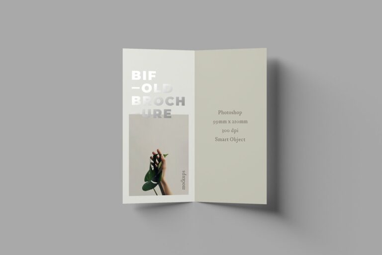 Bifold DL Brochure Mockups – MasterBundles