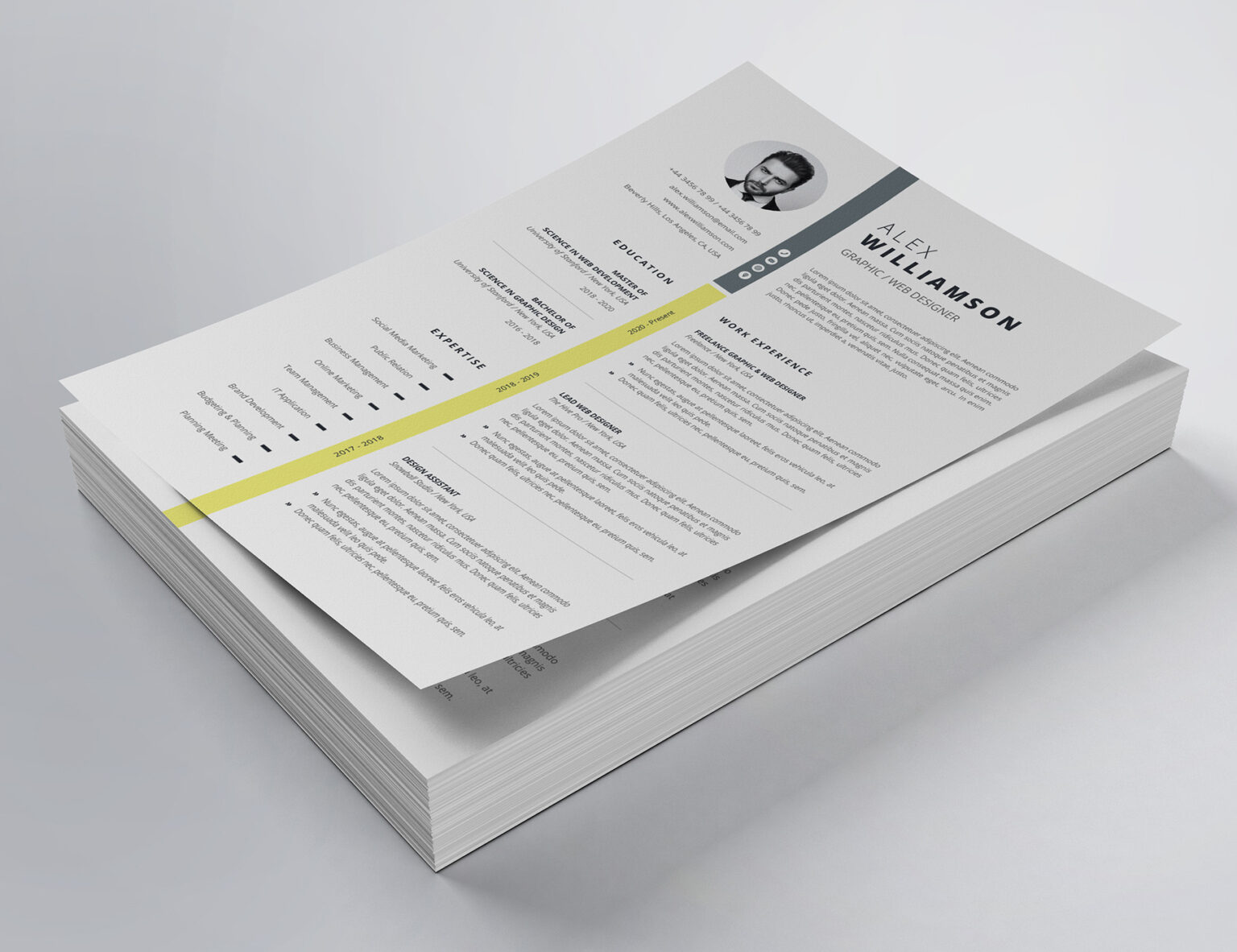 Professional Resume/CV Template - MasterBundles