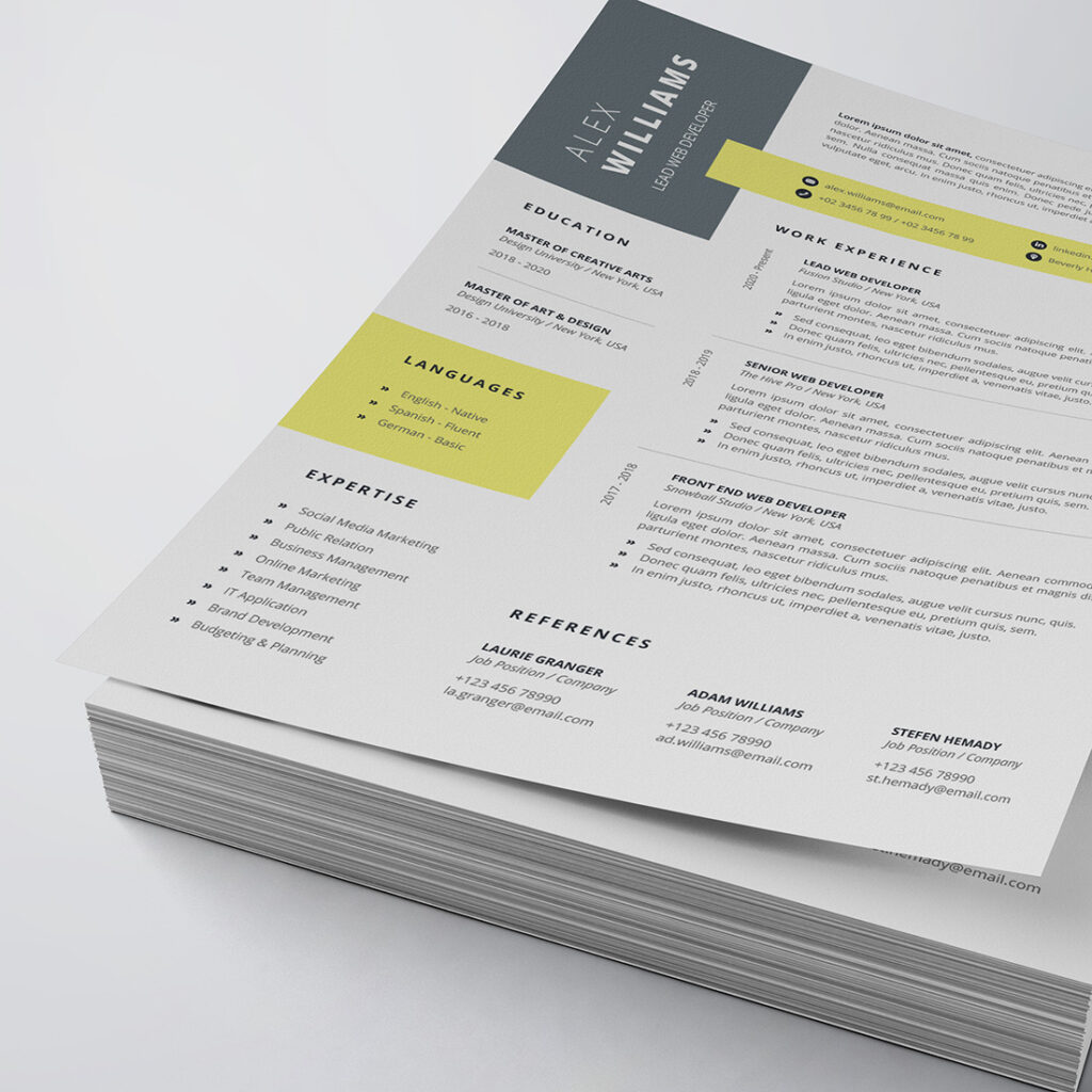 Clean Resume/CV Template - MasterBundles