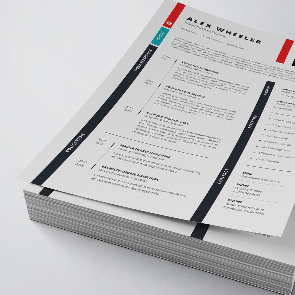 Clean Resume/CV Template - MasterBundles