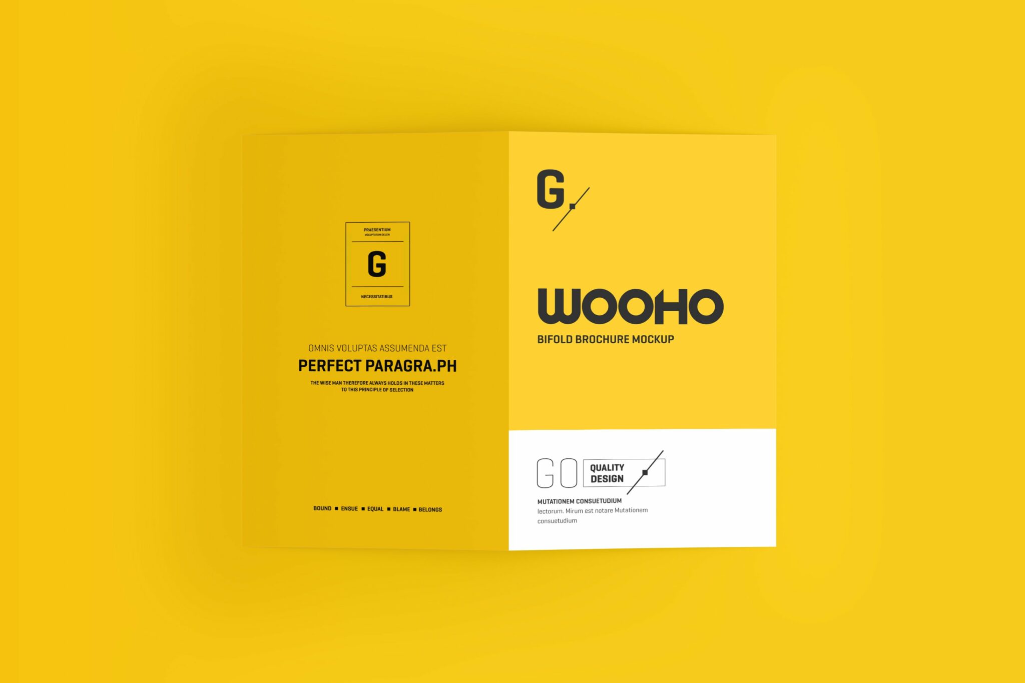 US Letter Bifold Brochure Mockup – MasterBundles