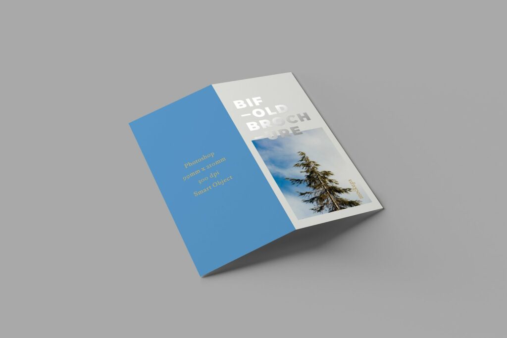 Bifold DL Brochure Mockups – MasterBundles