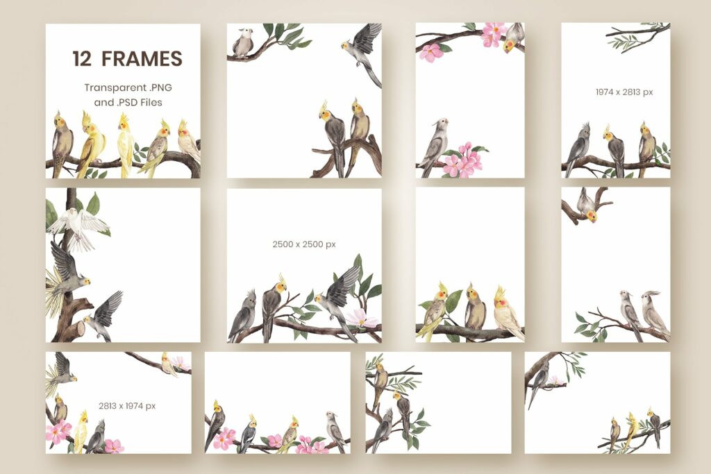 Cockatiel Birds Watercolor – MasterBundles