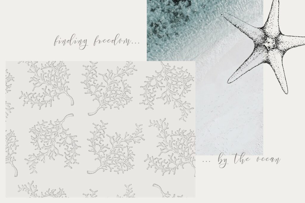 Coral Beach - Maritime Illustrations – MasterBundles