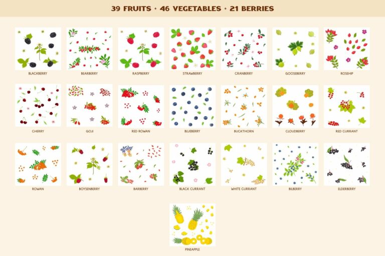 Collection fruits vegetables berries – MasterBundles