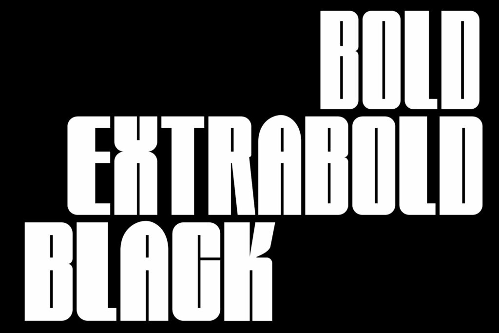 Along Sans Grande Font Family – MasterBundles