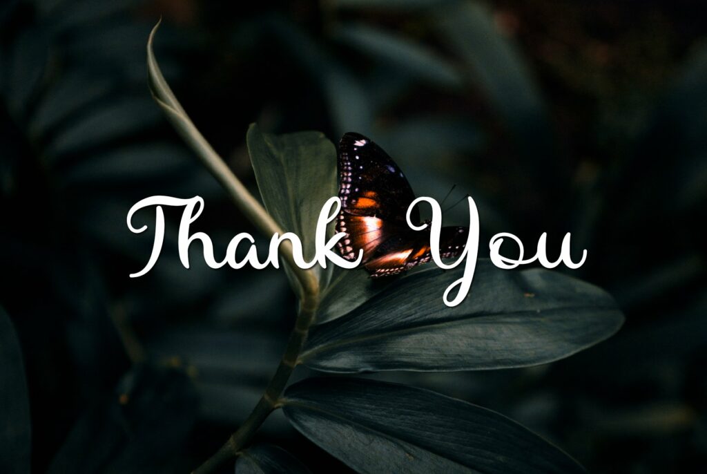 Butterfly Font - Swash Style – MasterBundles