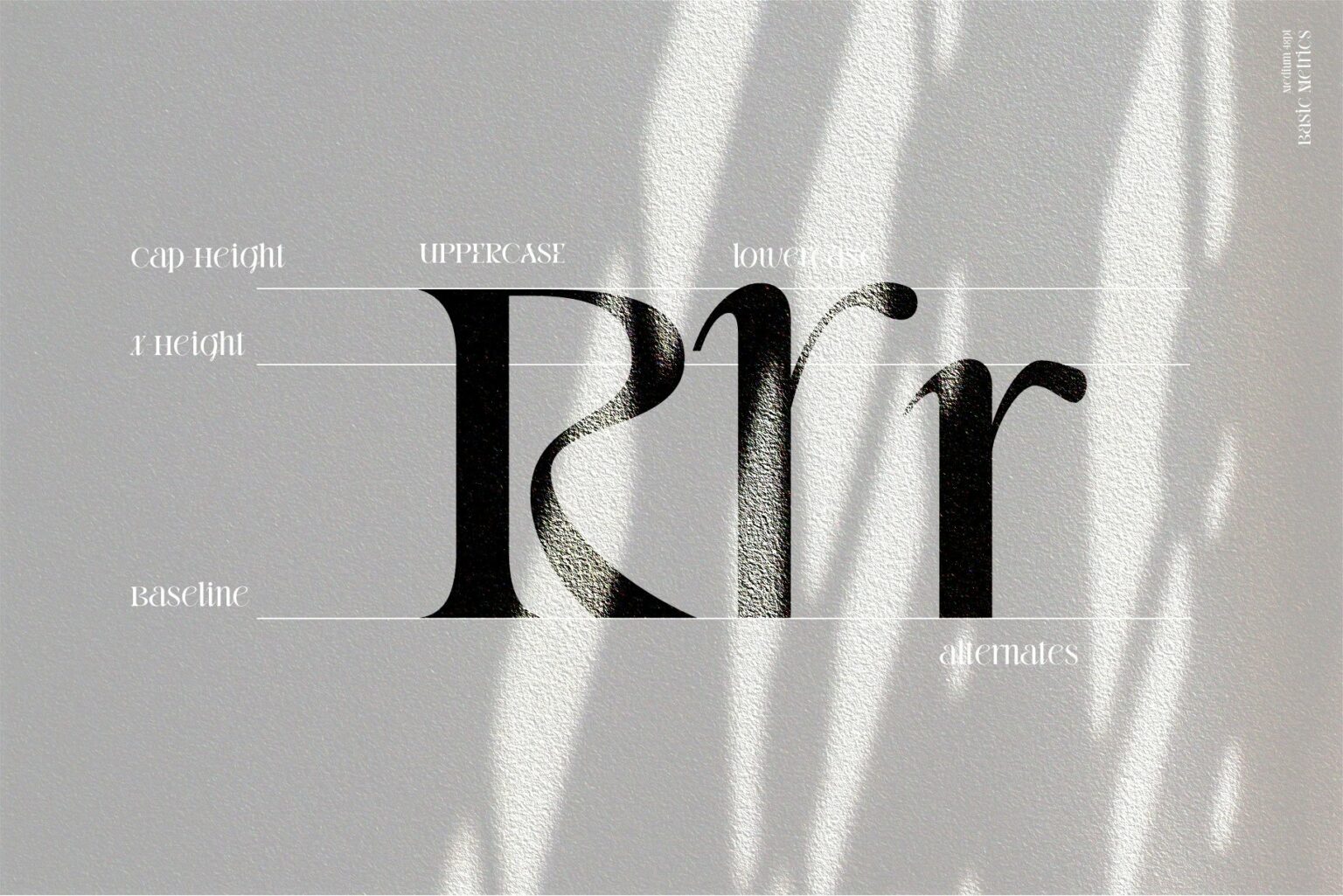 GIBEon Display Serif Family – MasterBundles
