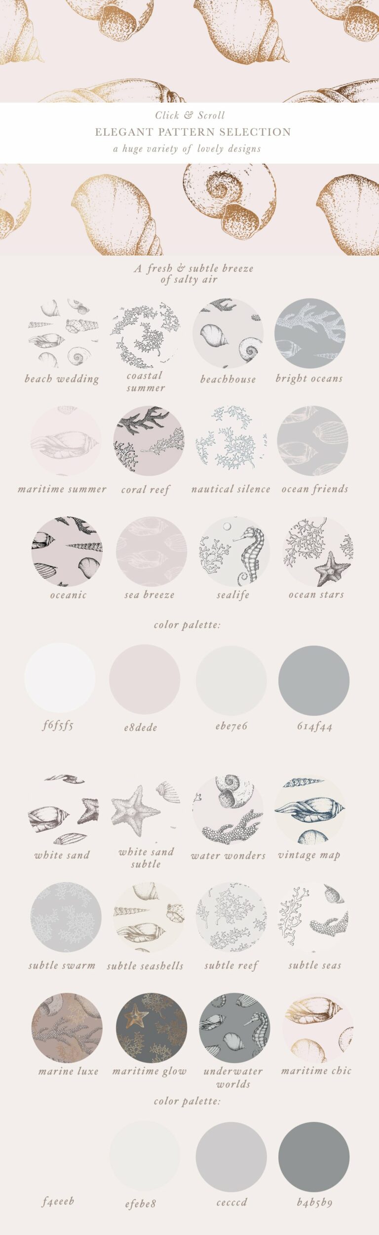 Coral Beach - Maritime Illustrations – MasterBundles