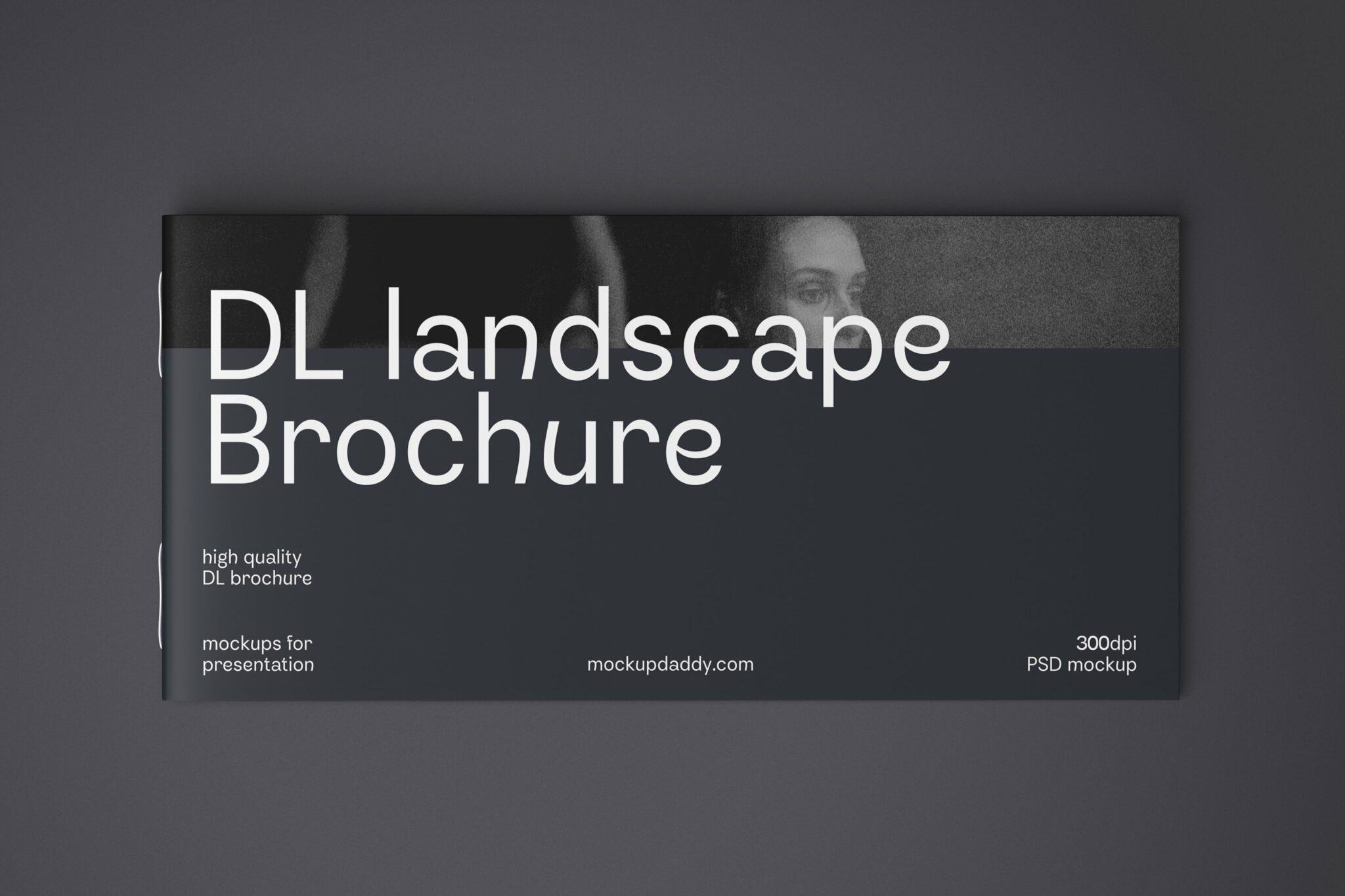 DL Landscape Brochure Mockup – MasterBundles