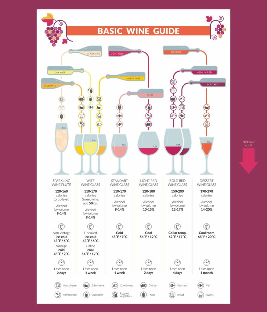 Wine guide – MasterBundles
