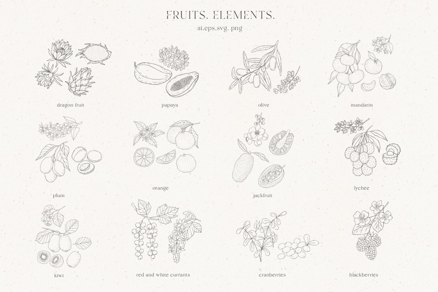 Fruits & Flowers. Nuts & Berries. – MasterBundles