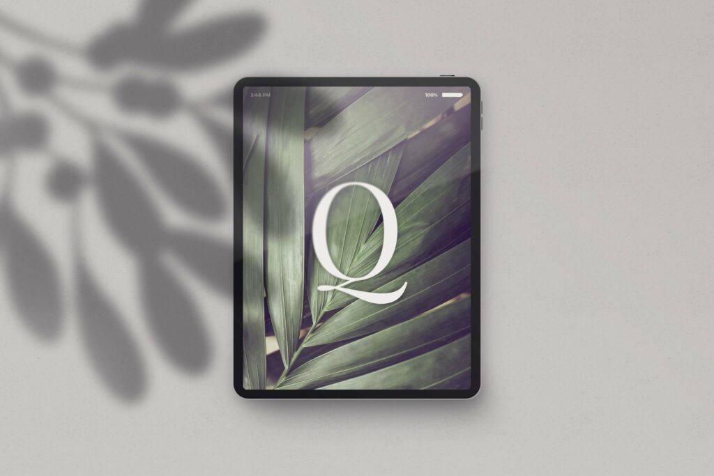 Quiver - Mockup & Scene Creator – MasterBundles