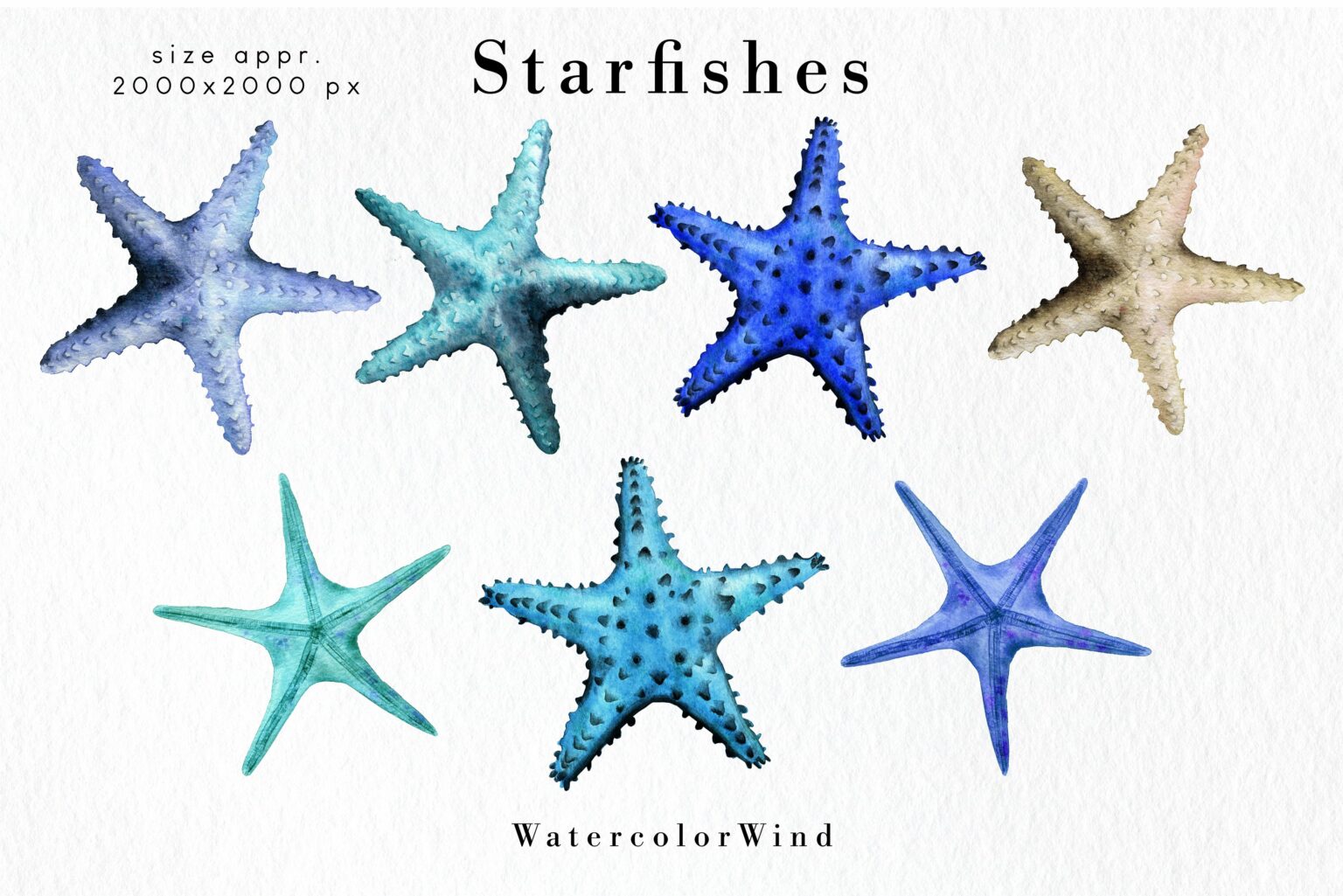 Beach Starfish Clipart Set – MasterBundles