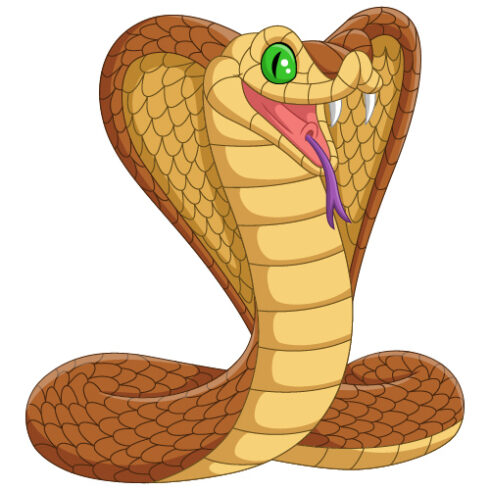 5 Cartoon Cobra Character - MasterBundles