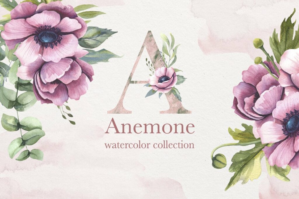 Sale 20%-Anemones Collection. – MasterBundles