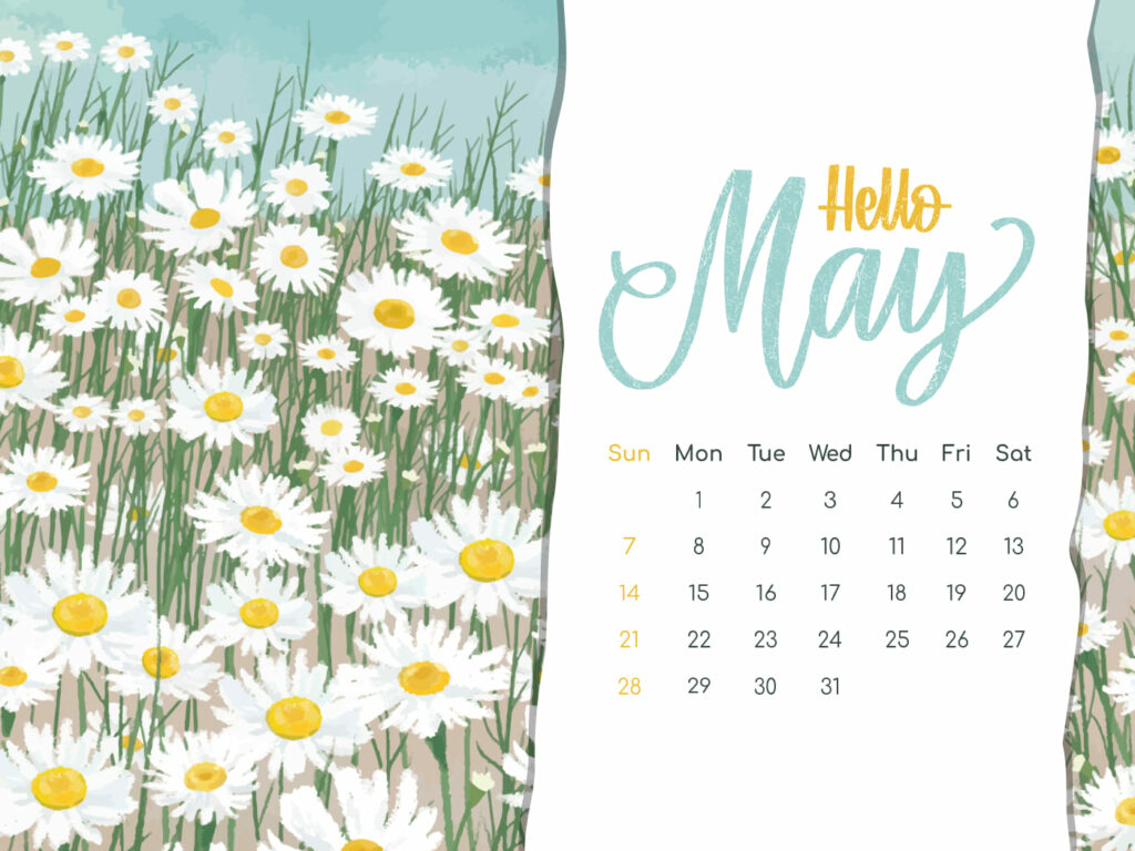 Free May 2023 Calendar – MasterBundles
