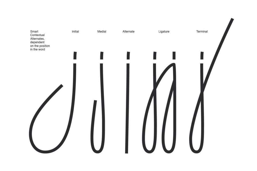 Wild Loops Handwritten Font – MasterBundles