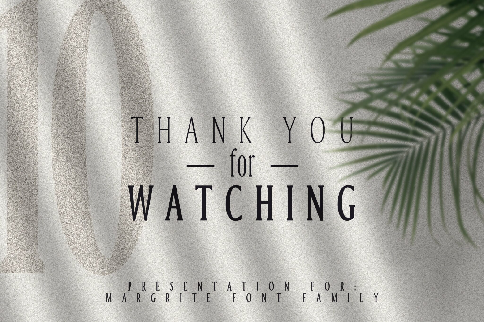 Margrite - Tall Serif Font Family – MasterBundles