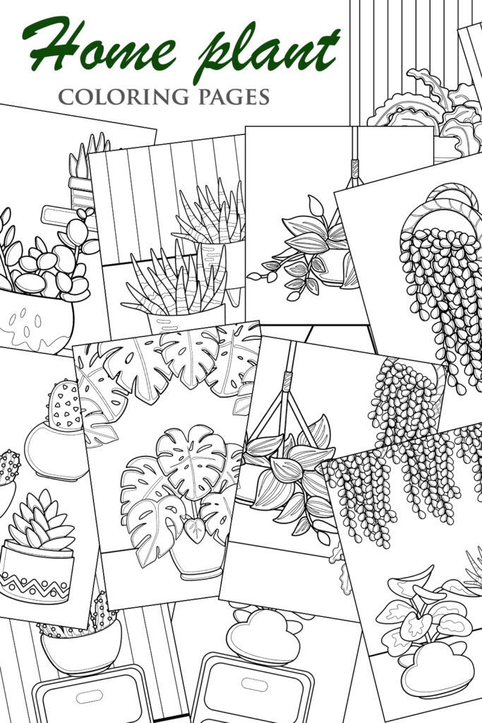 Home Plants Cartoon - Floral Nature - MasterBundles